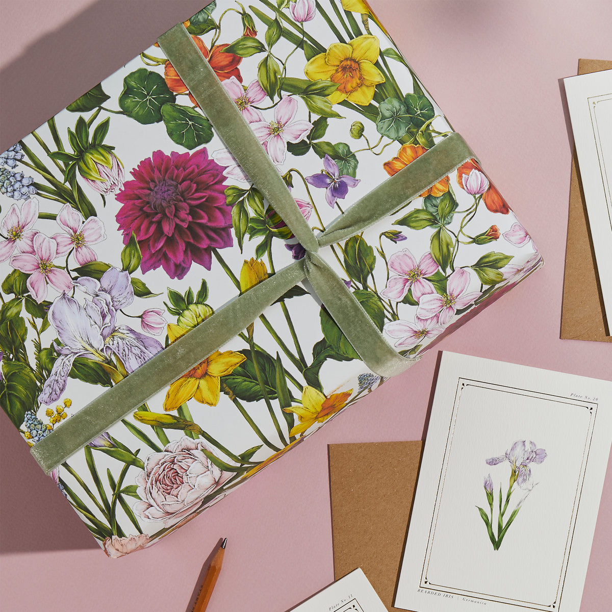Catherine Lewis Design - Floral Brights - Gift Wrap