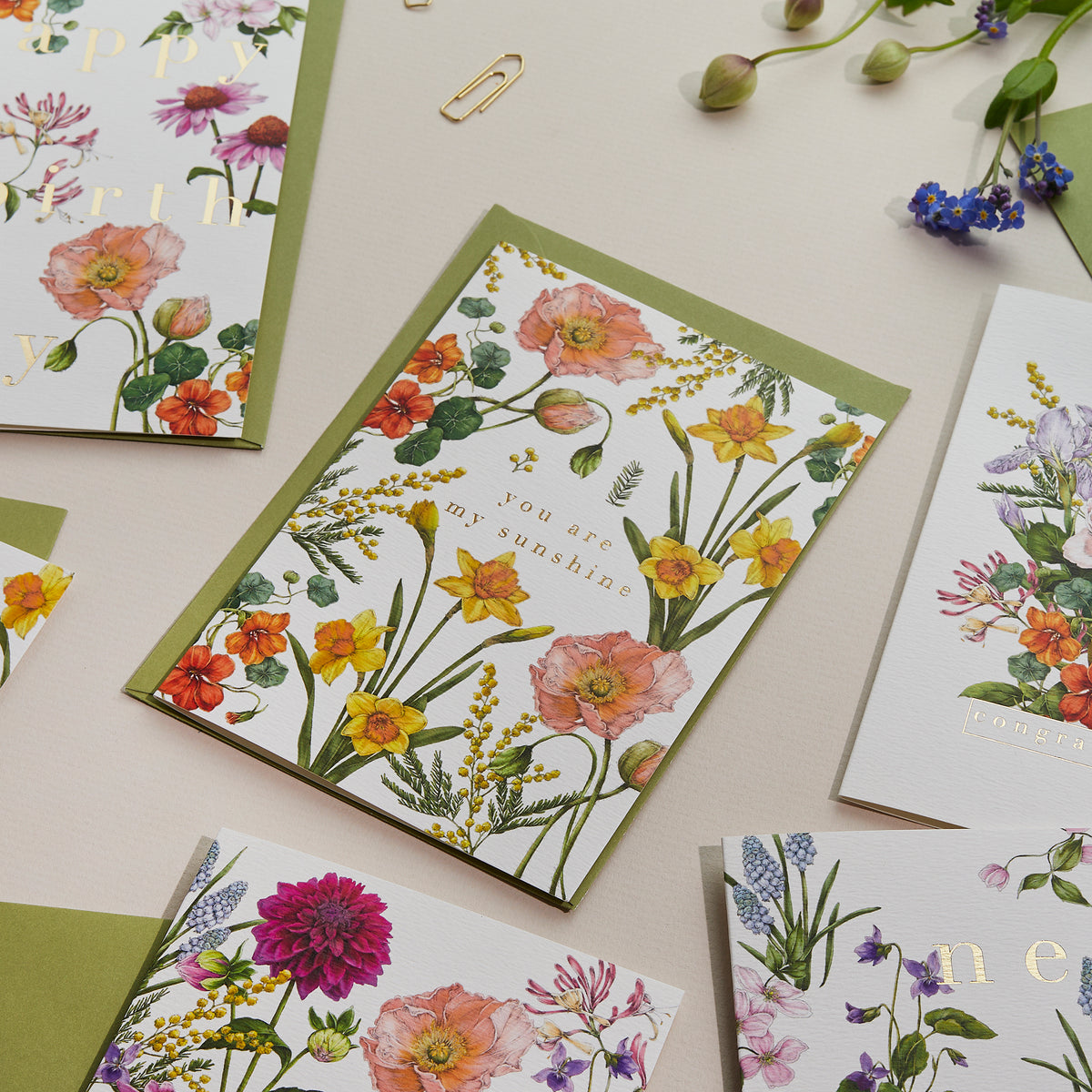 Bountiful Blooms - You are my Sunshine - Card – Catherine Lewis Design