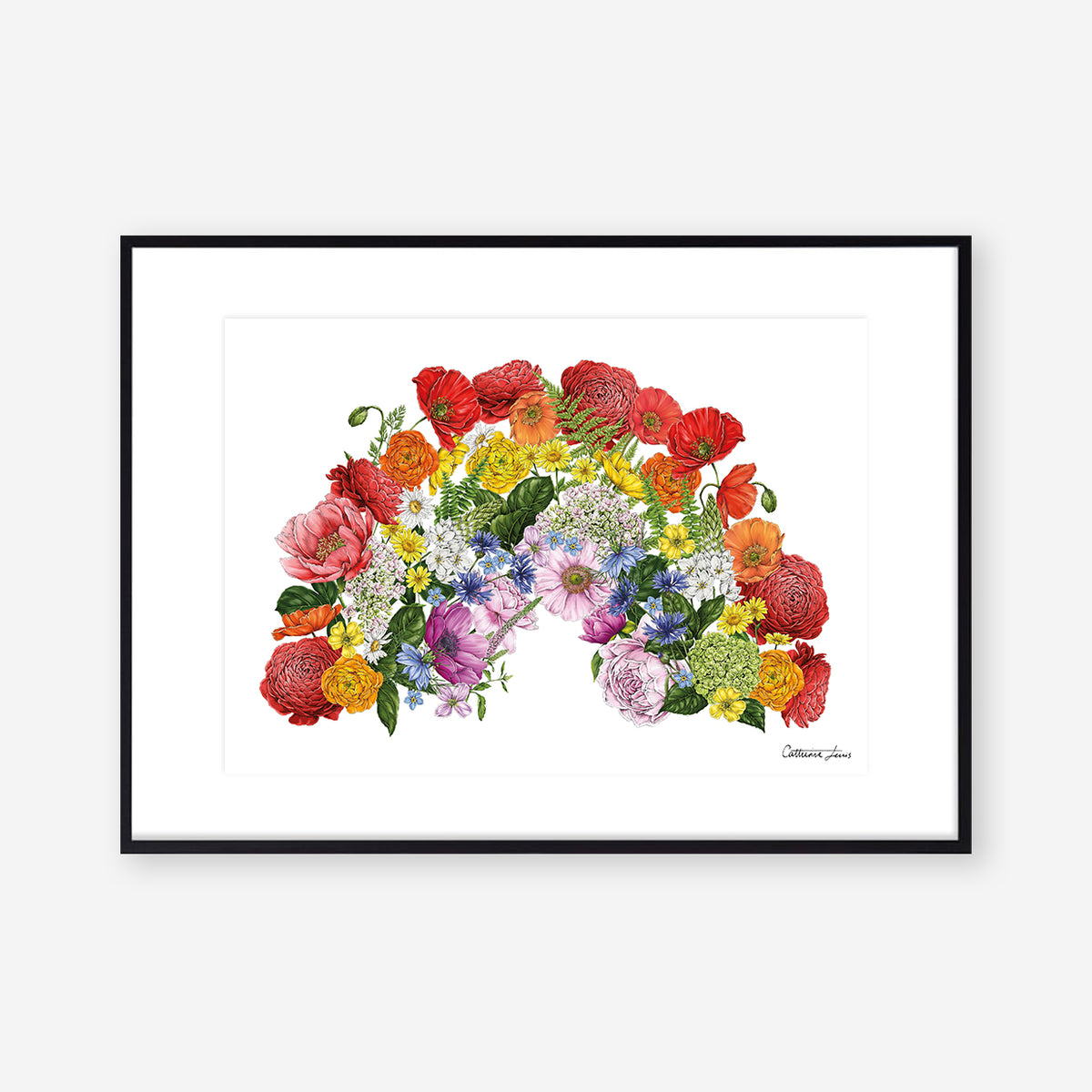 Botanical Rainbow - Art Print – Catherine Lewis Design