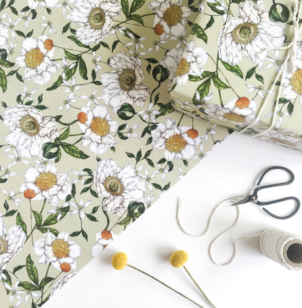 Catherine Lewis Design - Spring Blossom - Gift Wrap